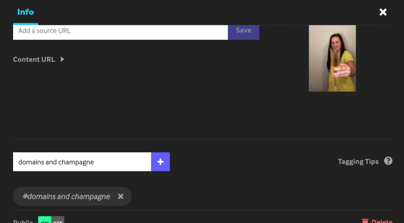 How to Turn Yourself into a Gif - Domains & Champagne